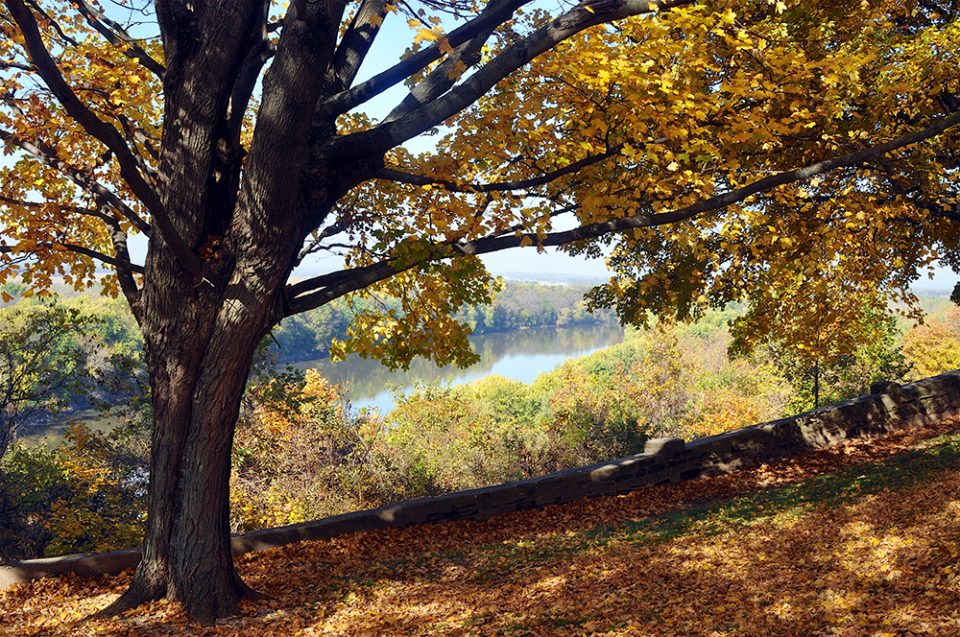 Merom - Indiana Connection