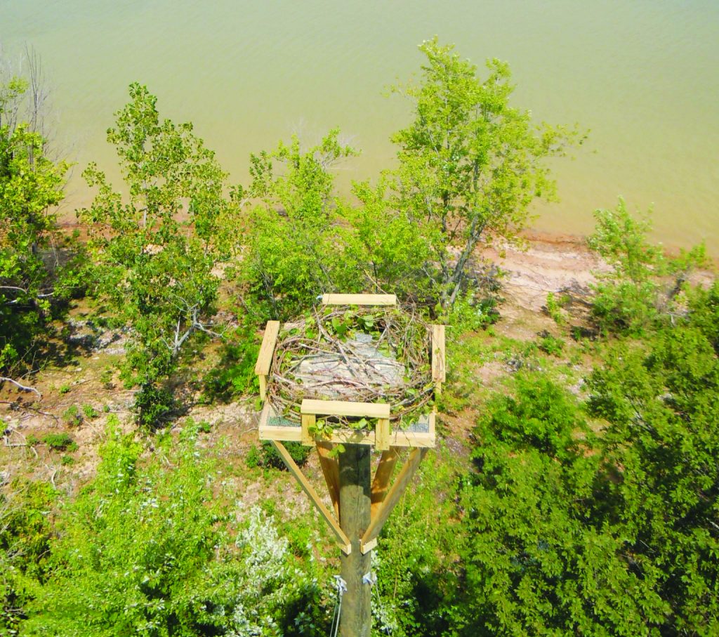 NESTING PLATFORM - Indiana Connection