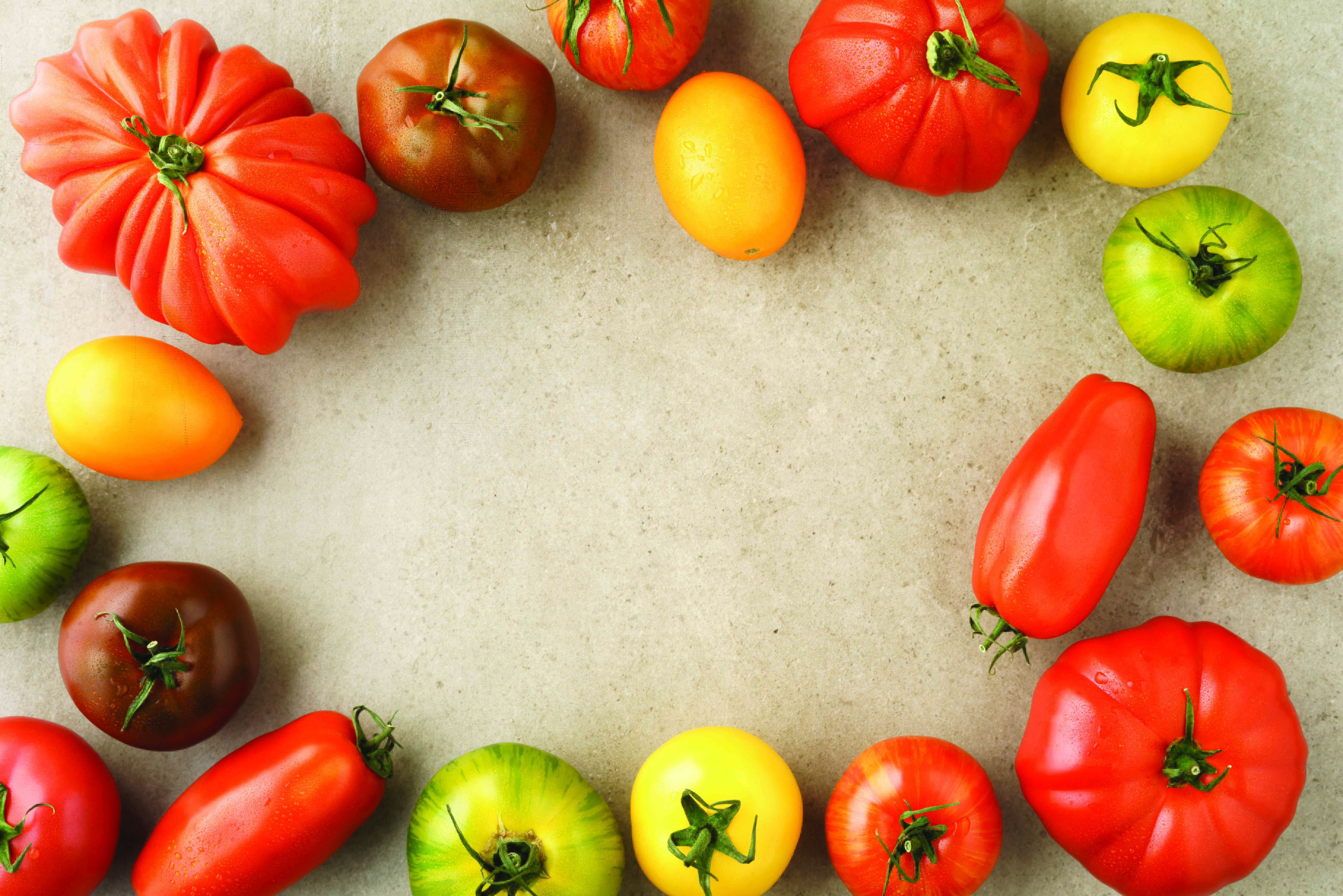 Tomato Talk - Indiana Connection