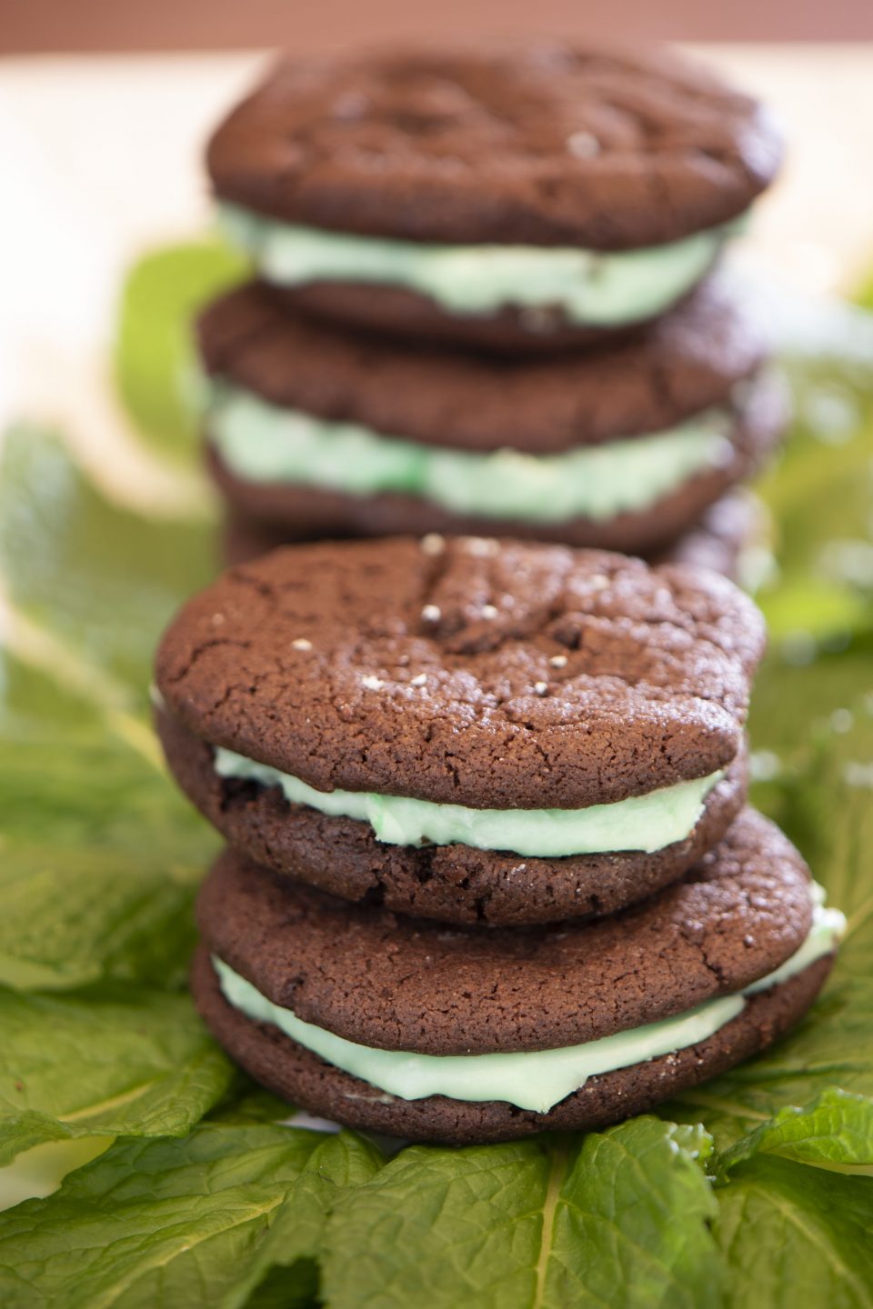 Chocolate Mint Sandwich Cookies