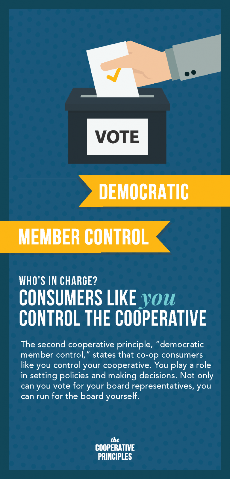 Democratic member control - Indiana Connection