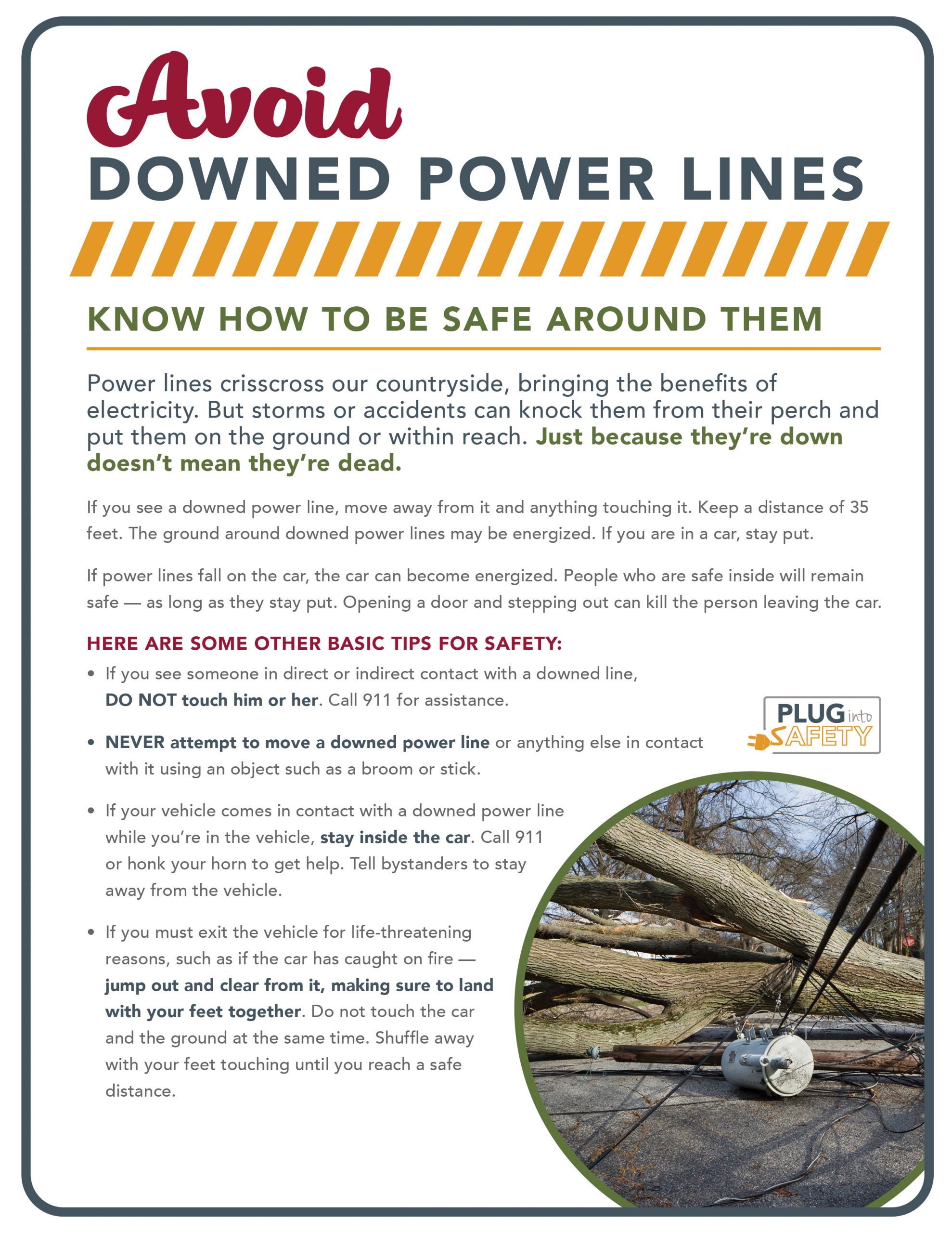 Avoid downed power lines - Indiana Connection