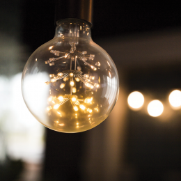 The best place for Fido this summer: indoors - Indiana Connection