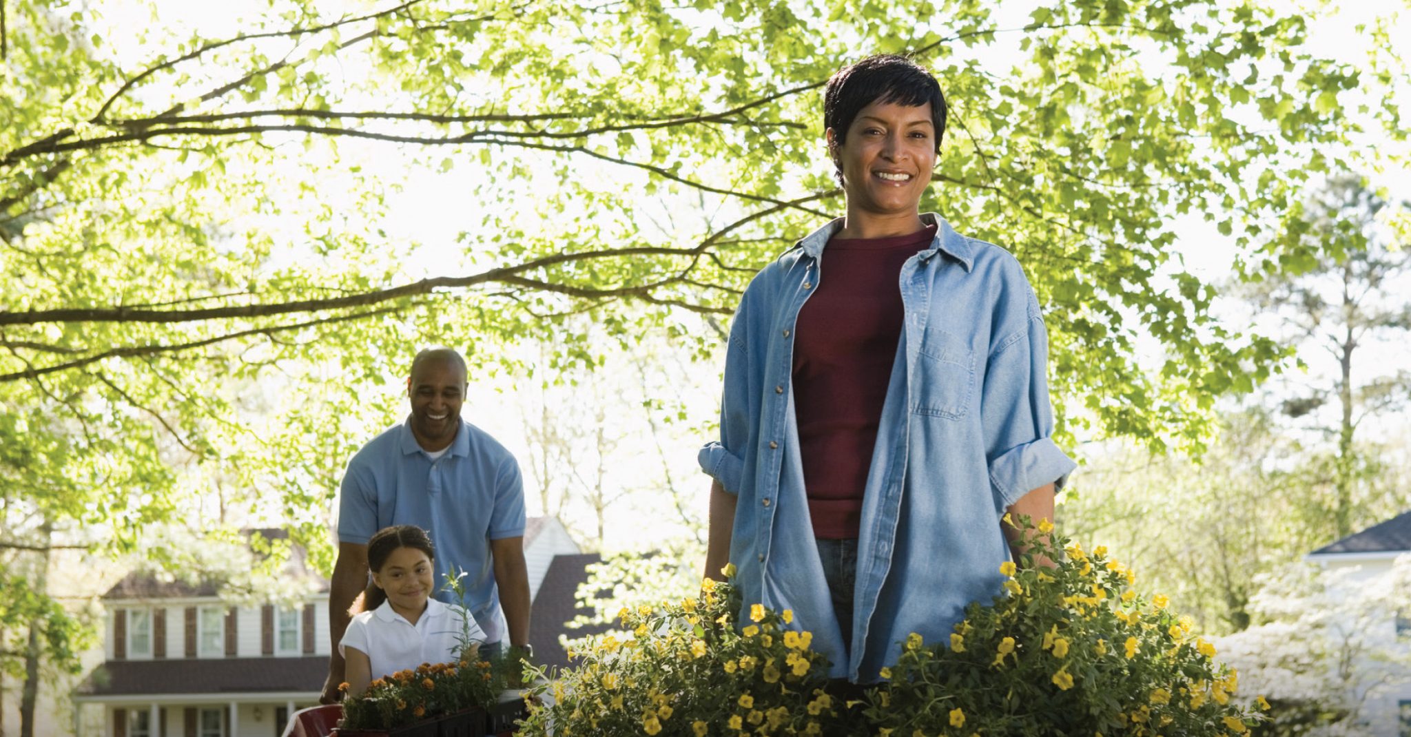 Digging into an outdoor project? - Indiana Connection