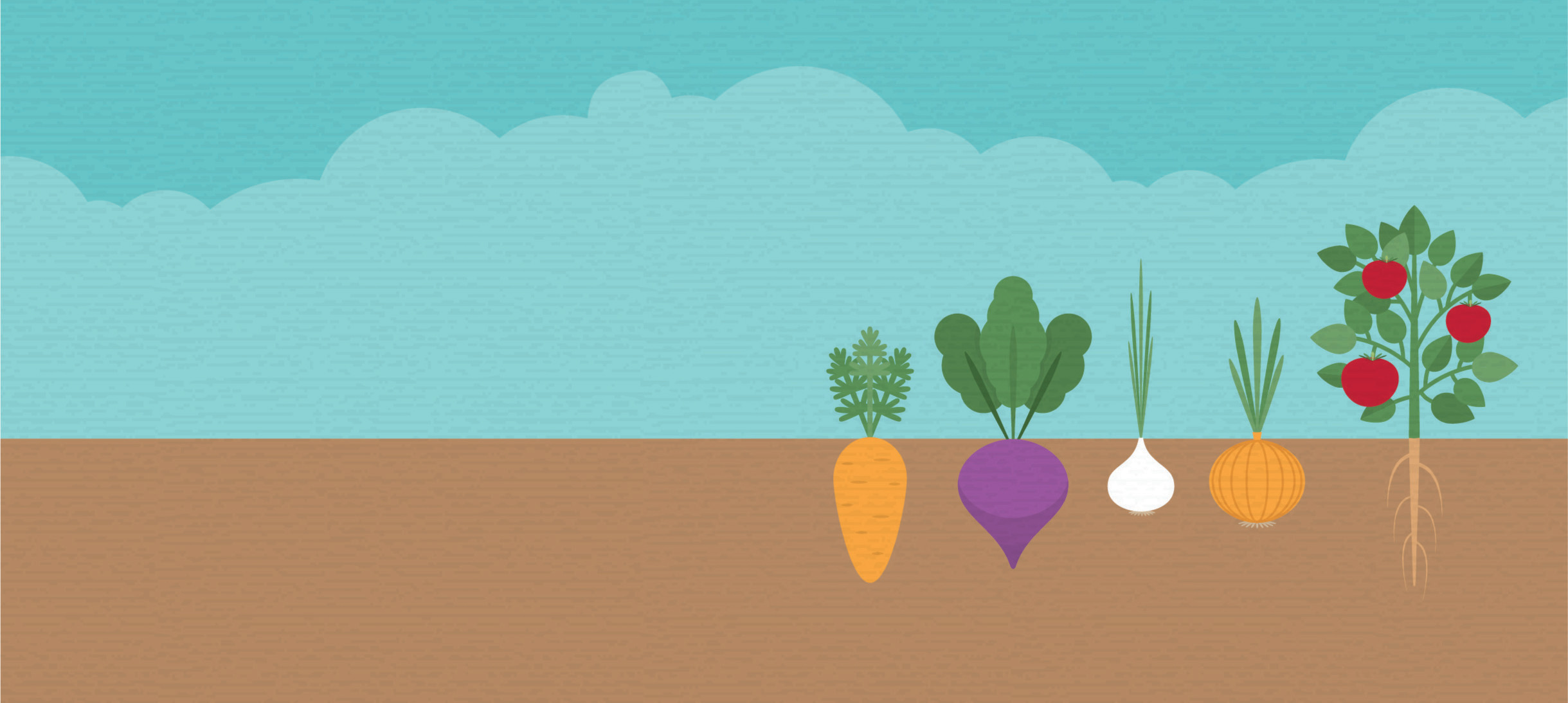 Creating a new vegetable garden - Indiana Connection