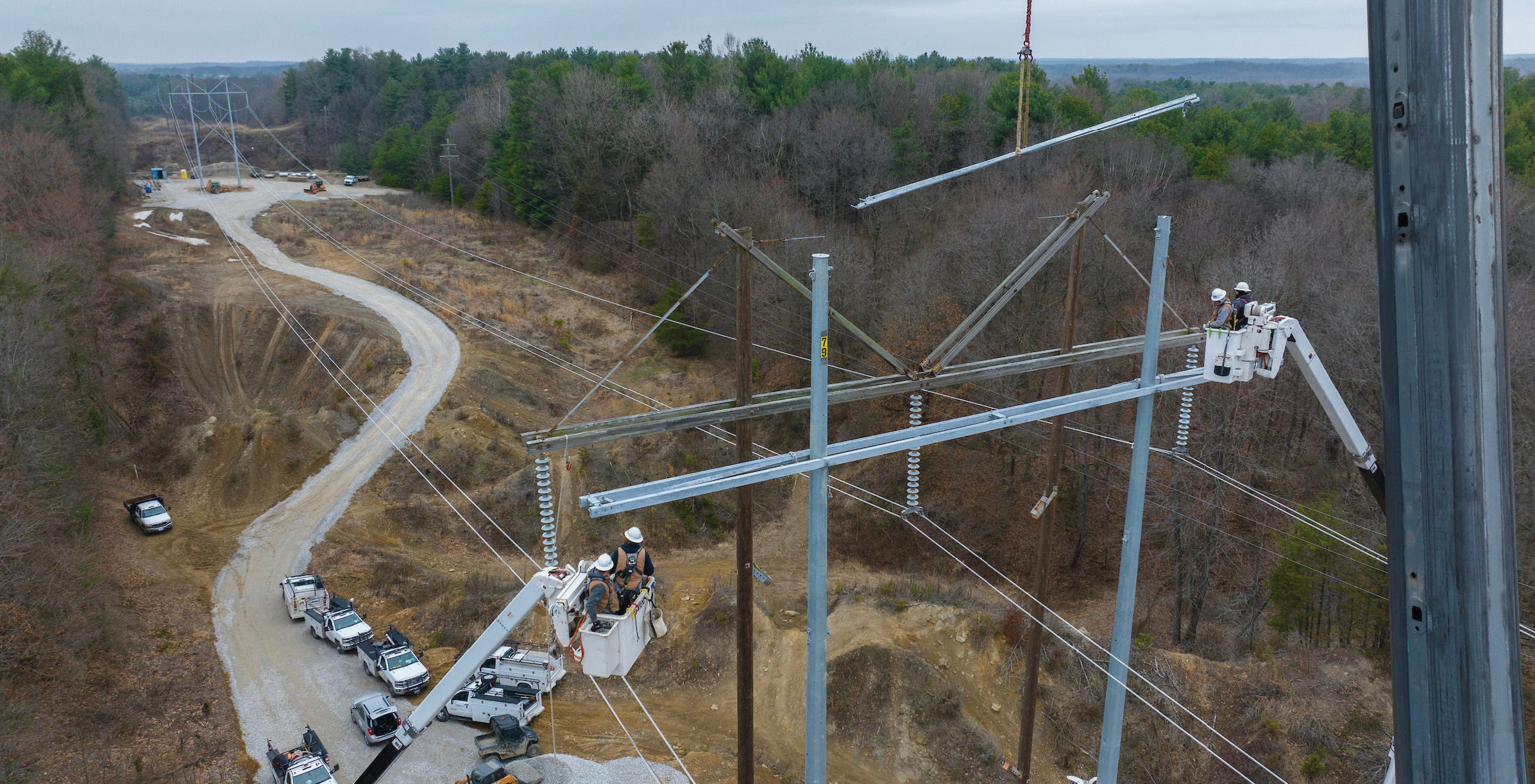 A woodpecker eviction - Indiana Connection