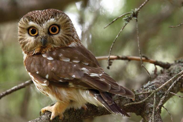 County profile: Fayette County - Indiana Connection