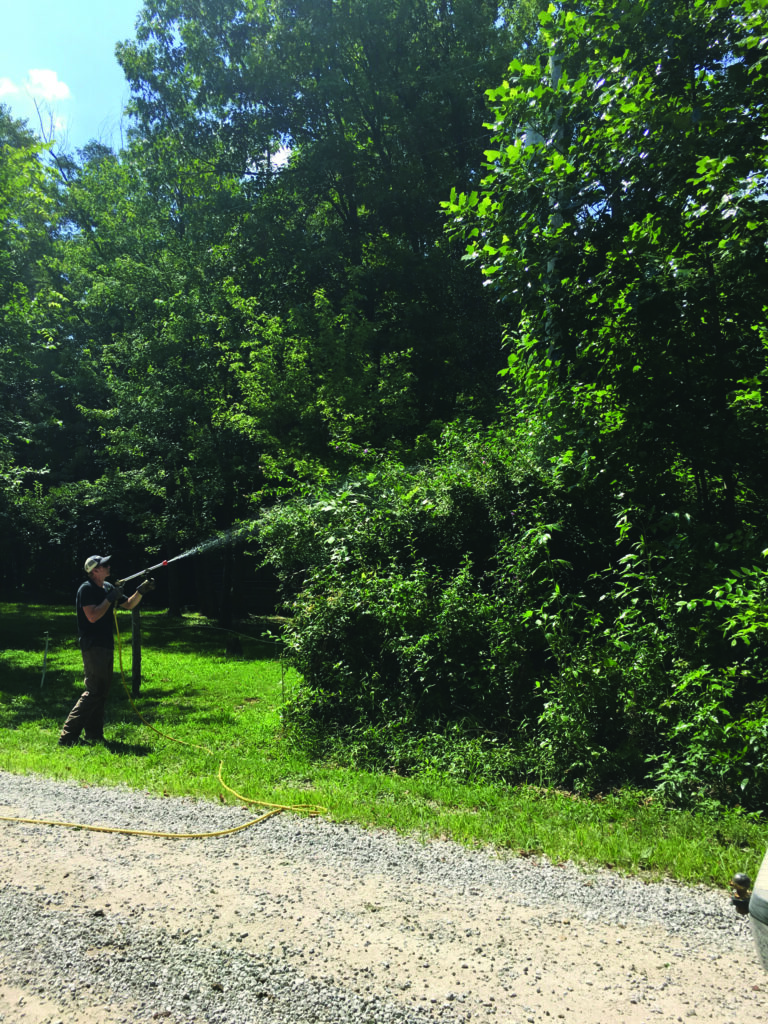 Vegetation management - Indiana Connection